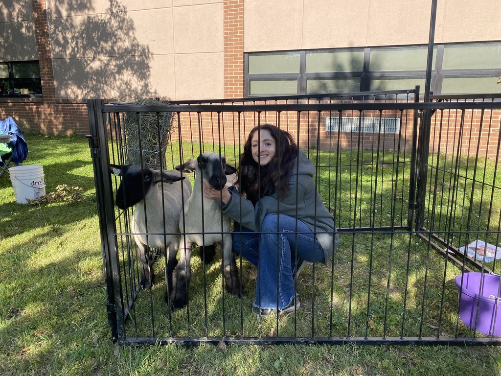 Live Feed | Halifax Area School District